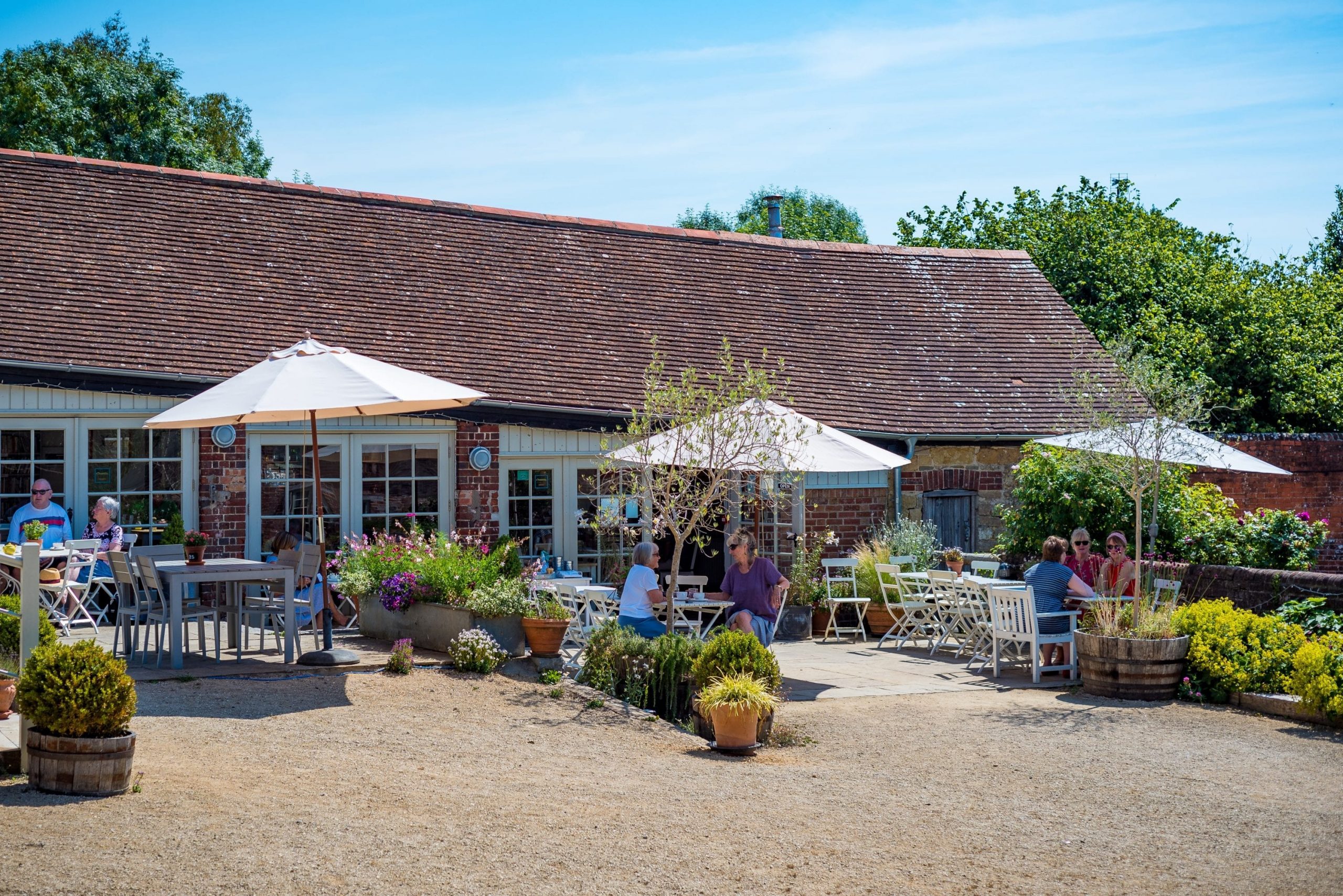 Top 10 Dog friendly Pubs Eateries In Dorset PetsPyjamas top-10-dog-friendly-pubs-eateries-in-dorset-petspyjamas