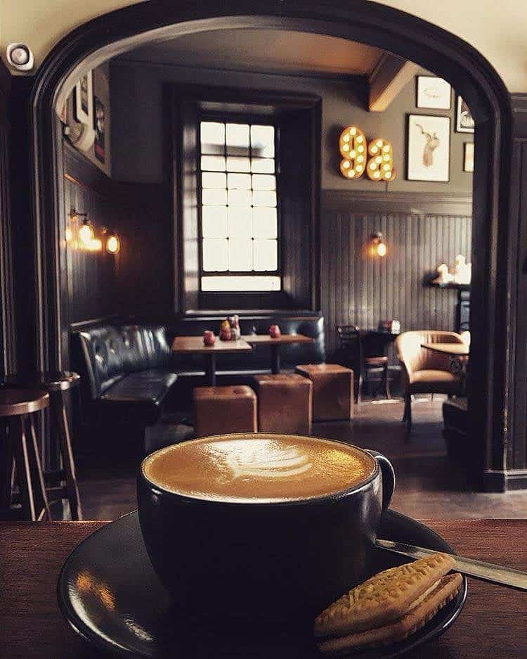 12 Dog-Friendly Restaurants in Edinburgh | PetsPyjamas